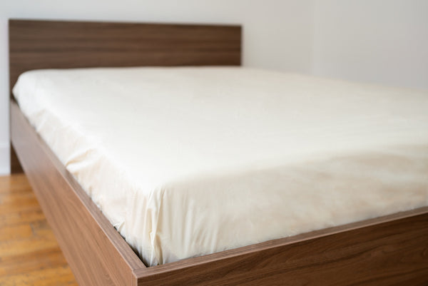 AllerGuard Fitted Mattress Protector | Defence Against Dust Mites ...